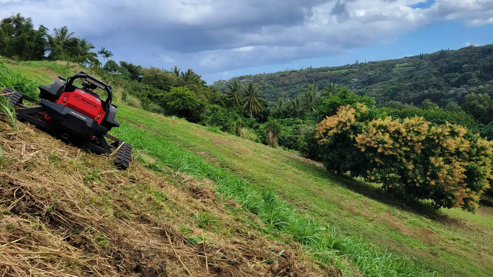 Steep Slope Mowing Kauai: Experts You Can Trust | Free Quote
